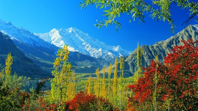 Rakaposhi & Hunza Valley - Pearl Tours & Travel